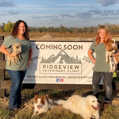 Best Vet Hospital In Redmond, OR | Ridgeview Vet Clinic
