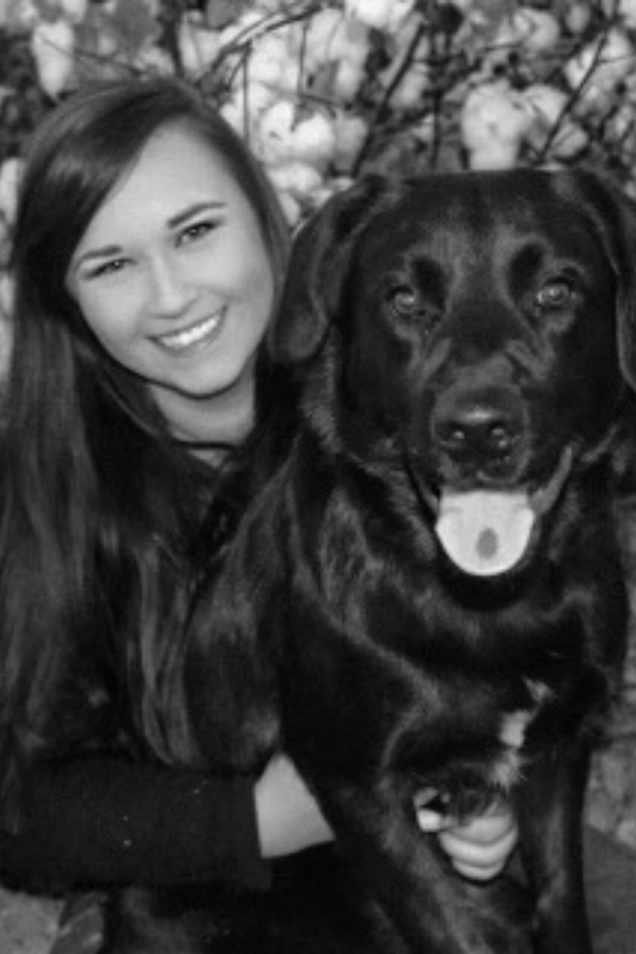 Veterinarian In Redmond, OR 97756 | Ridgeview Veterinary Clinic